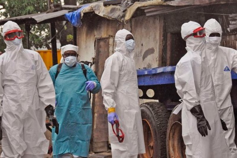 伊波拉病患救星ZMapp 動物實驗100%有效-風傳媒